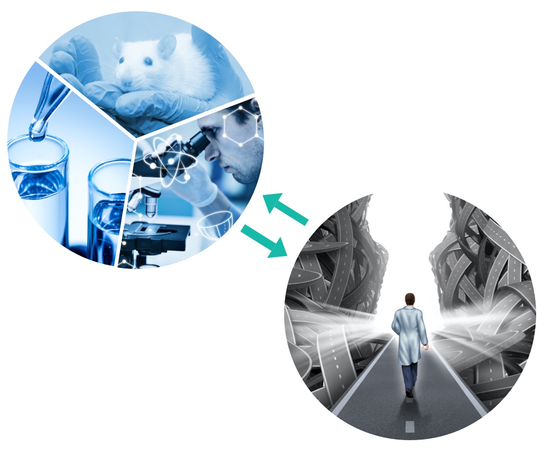 With RESCAP we combat age-related diseases | Amrif